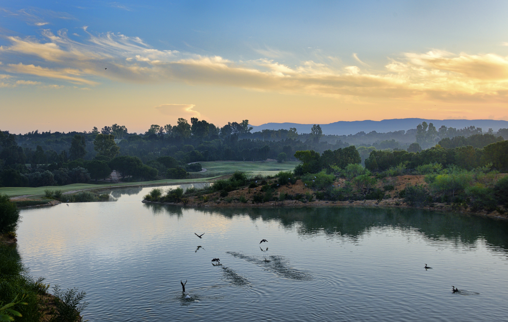 Citrus Golf Club: Foret Course